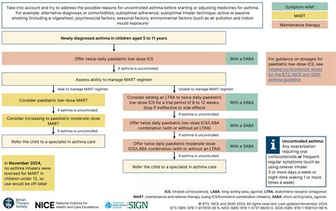 What Does The New Bts Nice Sign Asthma Guideline Mean For Primary Care