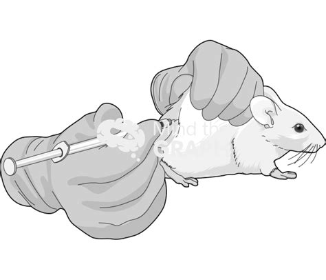 Free Subcutaneous Injection Swiss Icons Symbols Pictures And Images Mind The Graph