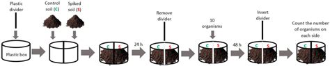 Schematic Representation Of The Avoidance Assay Performed Download