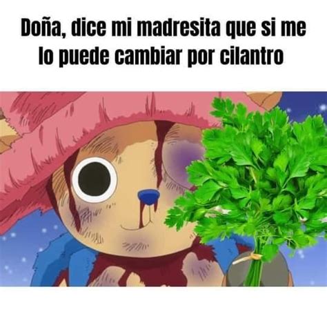 Top Memes De Cilantro En Español Memedroid