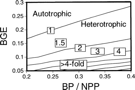 A Modeled Relationship Between Bacterial Production Bp Bacterial