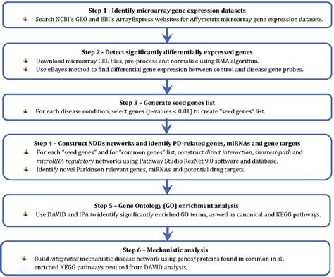 The Study Workflow Download Scientific Diagram