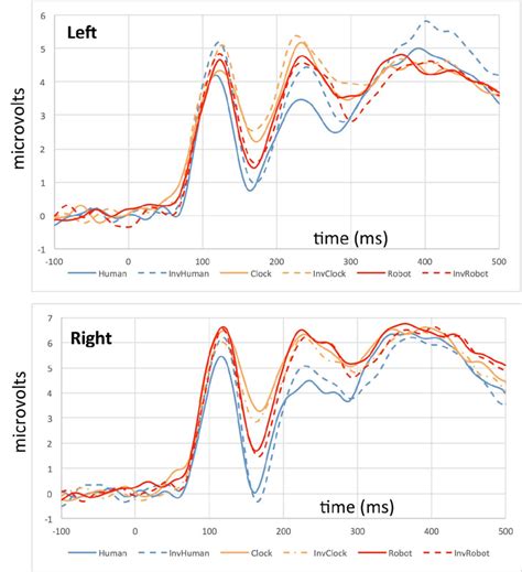 Grand Average Erp Waveforms For The Left Top And Right Bottom