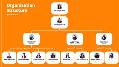 Organization Structure Quality Assurance
