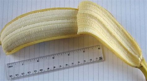 Les Records Du Monde Du Sexe