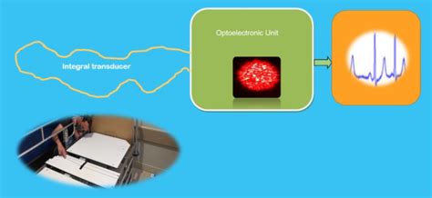 Schematic Illustration Of An Integral Specklegram Based Sensor For