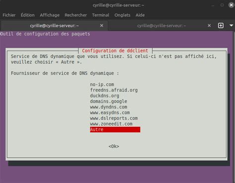 Installation Dun Serveur Domestique Restez Curieux