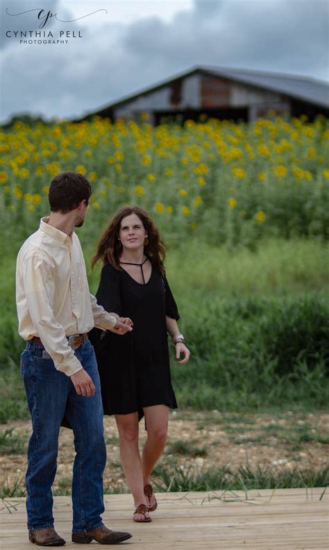 Beautiful Fields Of Sunflowers Cynthiapellphotographer