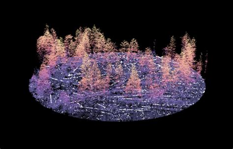 Using Shp Line On A Certain Orientation Issue R Lidar LidR GitHub