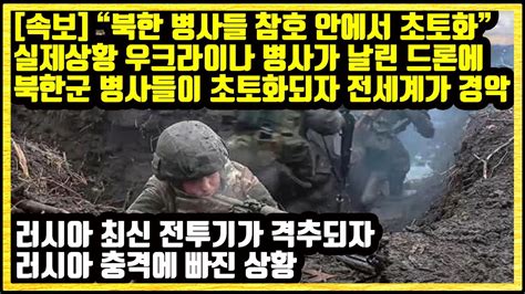 속보 북한 병사들 참호 안에서 초토화 실제상황 우크라이나 병사가 날린 드론에 북한군 병사들이 초토화되자 전세계가 경악 러시아 최신 전투기가 격추되자 러시아 충격에