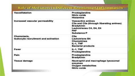 Acute And Chronic Inflammation And Wound Healing Pptx