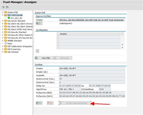 Solved Strust Import Of Sso Certificate Not Possible Sap Community