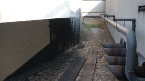 Biomitech Introduces Microalgae Air Filtration