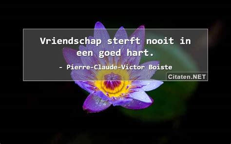 235 Citaten Met Vriendschap