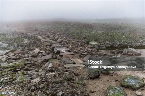안개낀 풍경속에서 이끼가 있는 돌 사이를 강을 가로지르는 돌보도와 돌다리 0명에 대한 스톡 사진 및 기타 이미지 0명 강