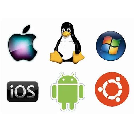 Software Os Installation In Kharagpur Id 2855354768091