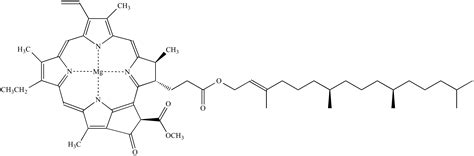 Chlorophyll Structure