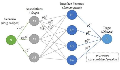 The General Structure Of The GNN Model To Suggest An Effective Drug Download Scientific Diagram