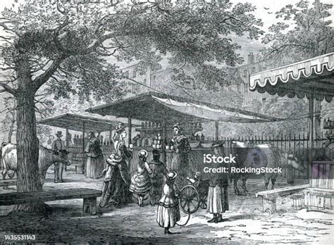 런던 세인트 제임스 공원의 가난한 사람들을위한 우유 박람회 19 세기 19세기에 대한 스톡 벡터 아트 및 기타 이미지 19세기 19세기 스타일 Central