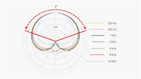 Shotgun Microphone Pickup Pattern