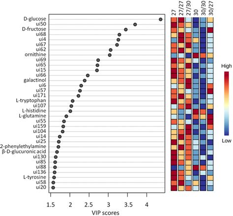 vip score plot showing the top 34 score 1 5 most important