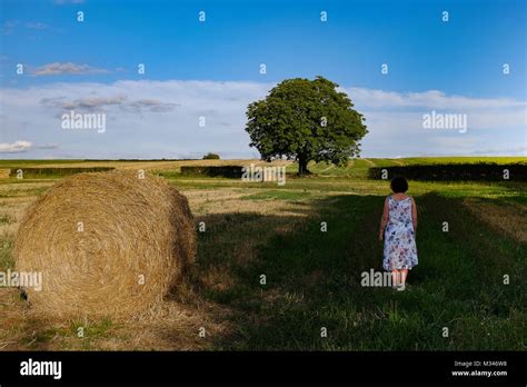 Woman Standing In A Field Niort Nouvelle Aquitaine France Stock