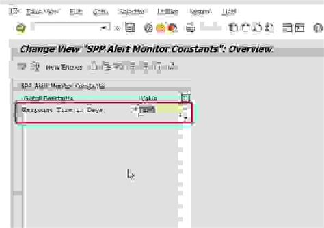 Define Global Constraints In SAP