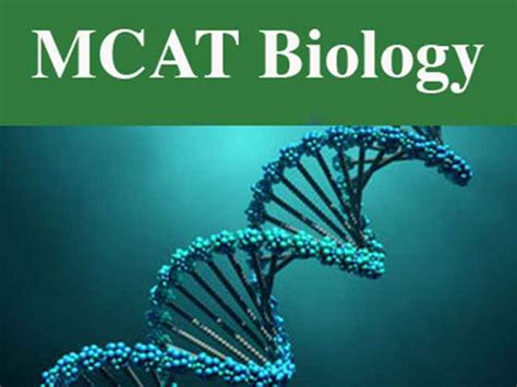 Mcat Biology Tutor Nyc Prep For The Biological Sciences Section