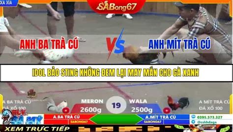 Trận 19 Bồ Xà Xía 7122025 Anh Ba Trà Cú Và Anh Mít Trà Cú