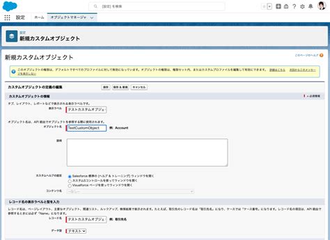salesforceのカスタムオブジェクトとは？作成方法と作成条件 サースプラスカンパニー公式ブログ
