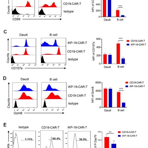 In Vitro Cytotoxicity Of Ikp 19 Car T Cells Against Cd19 Hla C1