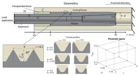 Generic Geometry With Boundary Conditions And Dimensions Dimensions