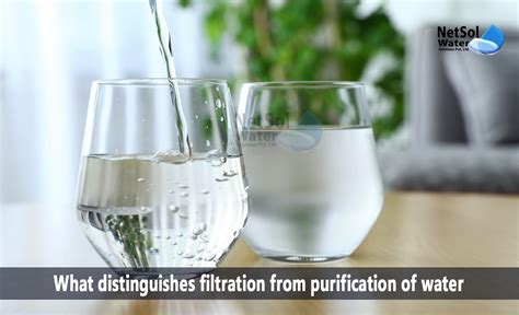 What Distinguishes Filtration From Purification Of Water