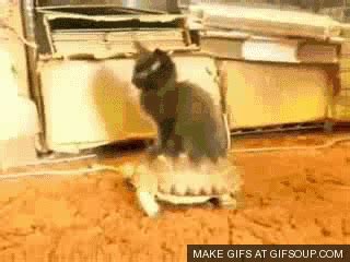 Homepage New Posts Funny Pictures And R34 On Joyreactor Page 491