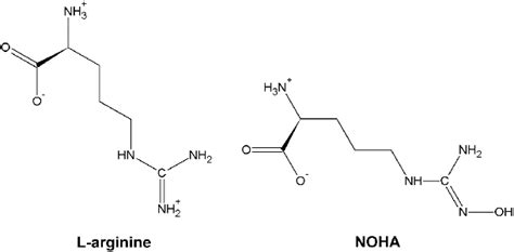 Chemical Structures Of The Substrate And Its Analog Chemical
