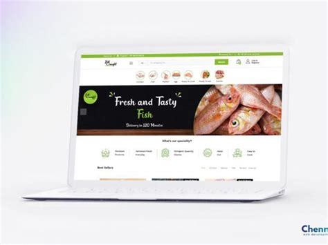 Professional Web Development Company In Chennai
