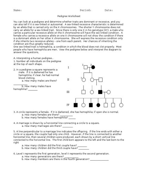 Simple Dominance Genetics Worksheet