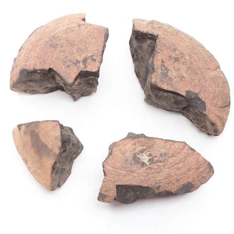 Pseudofossil Concretion Ebth