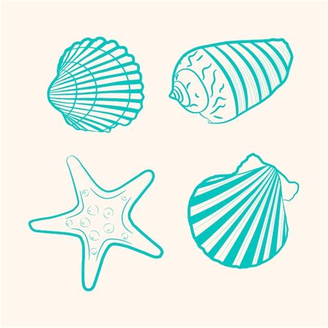 Free Vector Hand Drawn Seashell Outline Illustration