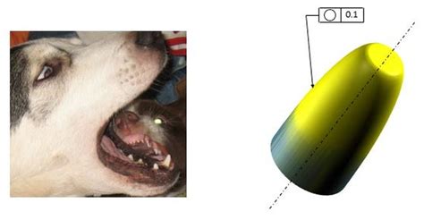 Circularity Dimensional Consulting