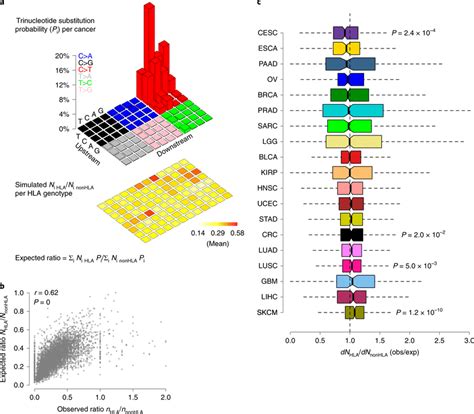 An Hla Genotype Specific Analysis Of Mutated Peptides Confirms The Download Scientific Diagram