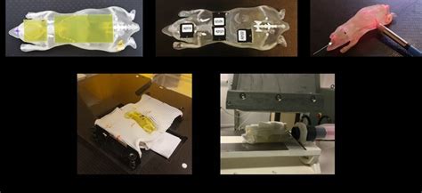 Example Of Dosimeter Placement In The Printed Phantom C1