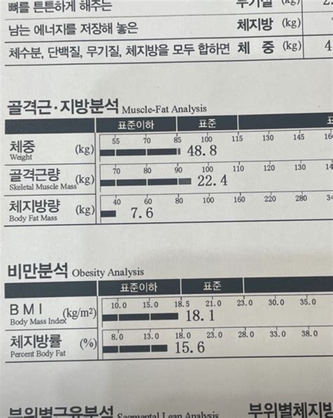 여자 바디프로필 도전기 인바디 체지방률 운동 루틴 네이버 블로그