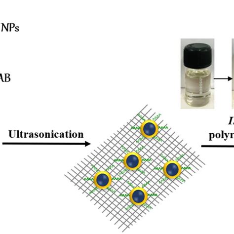 Schematic Representation For The Synthesis Of Pdpa Nio Nanocomposites