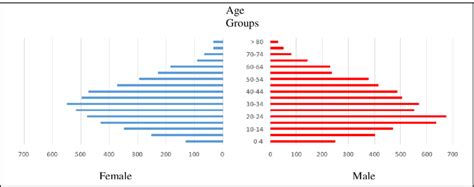 Age Gender Pyramid Source Registrar General Of India 2011