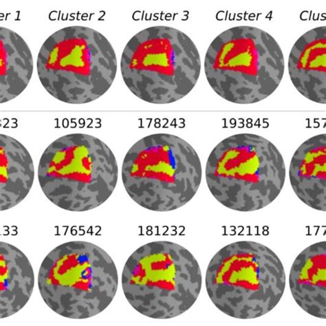 Qualitative Evaluation Of Clusters Average Cluster Maps Are Shown In