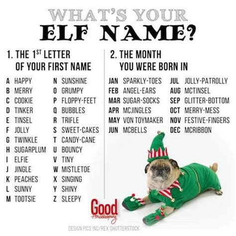 Pet Elf Name List 1 Elf Names Whats Your Elf Name Elf Names List