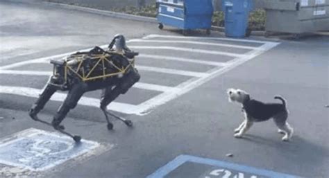 Robot Meme Robot Discover And Share S