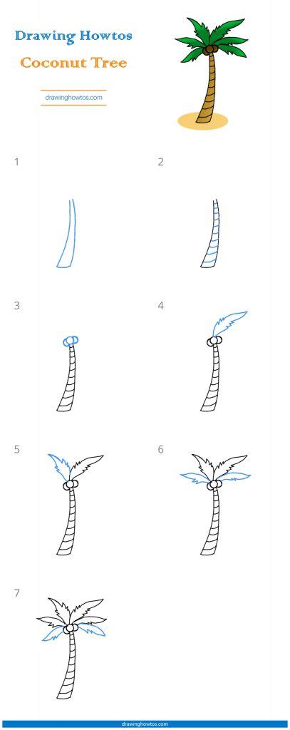 How To Draw A Coconut Tree Step By Step Easy Drawing Guides Drawing Howtos