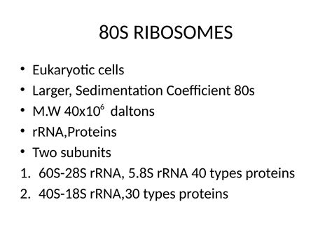 Structure Types And Functions Of Ribosomes Ppt